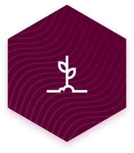 About - AgeTech Collaborative from AARP