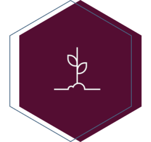 About Us - AgeTech Collaborative from AARP